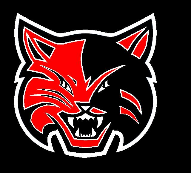 In Depth: Hull-Daisetta Bobcats