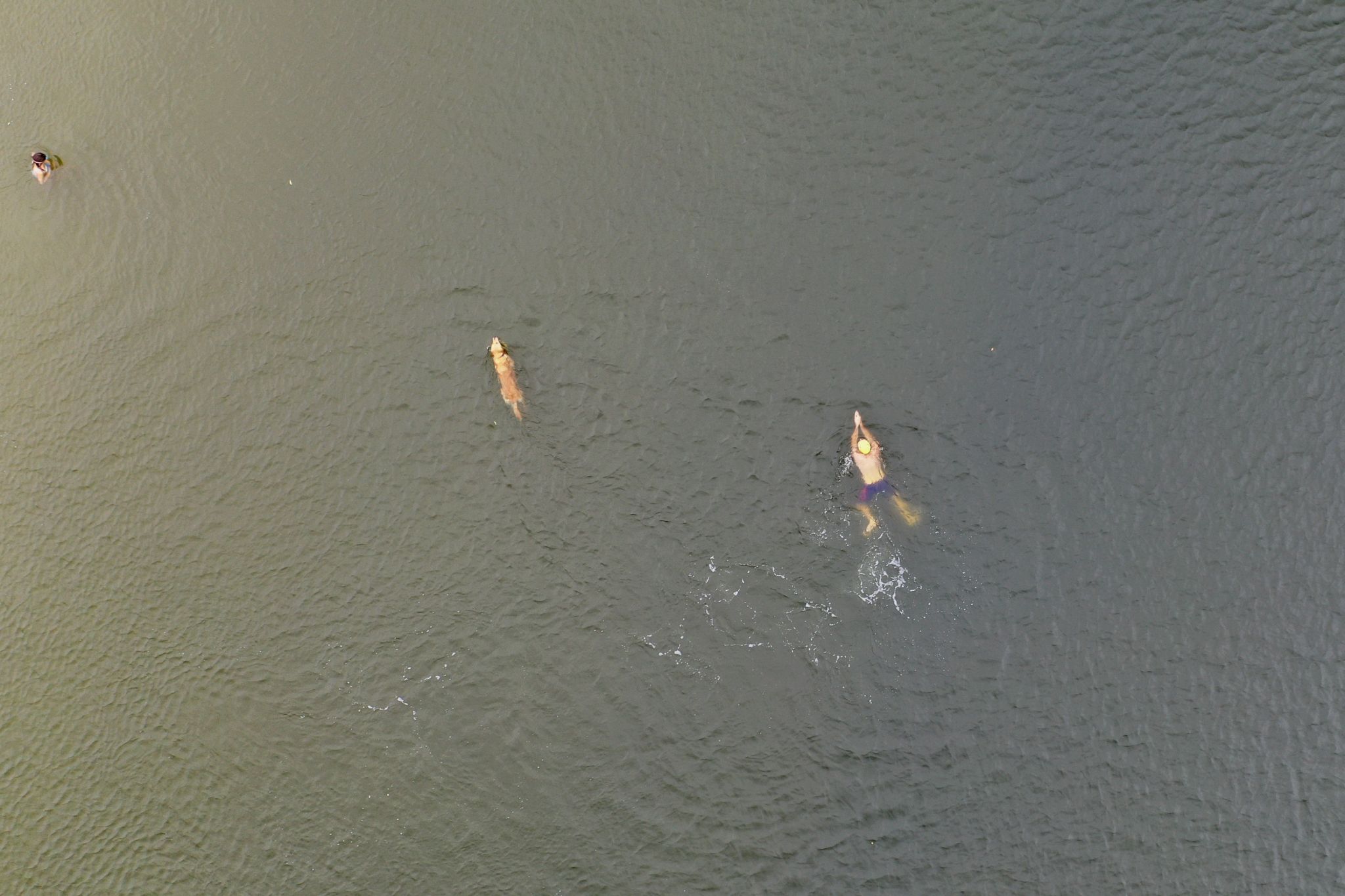 Tropical Storm Henri memes hit the internet