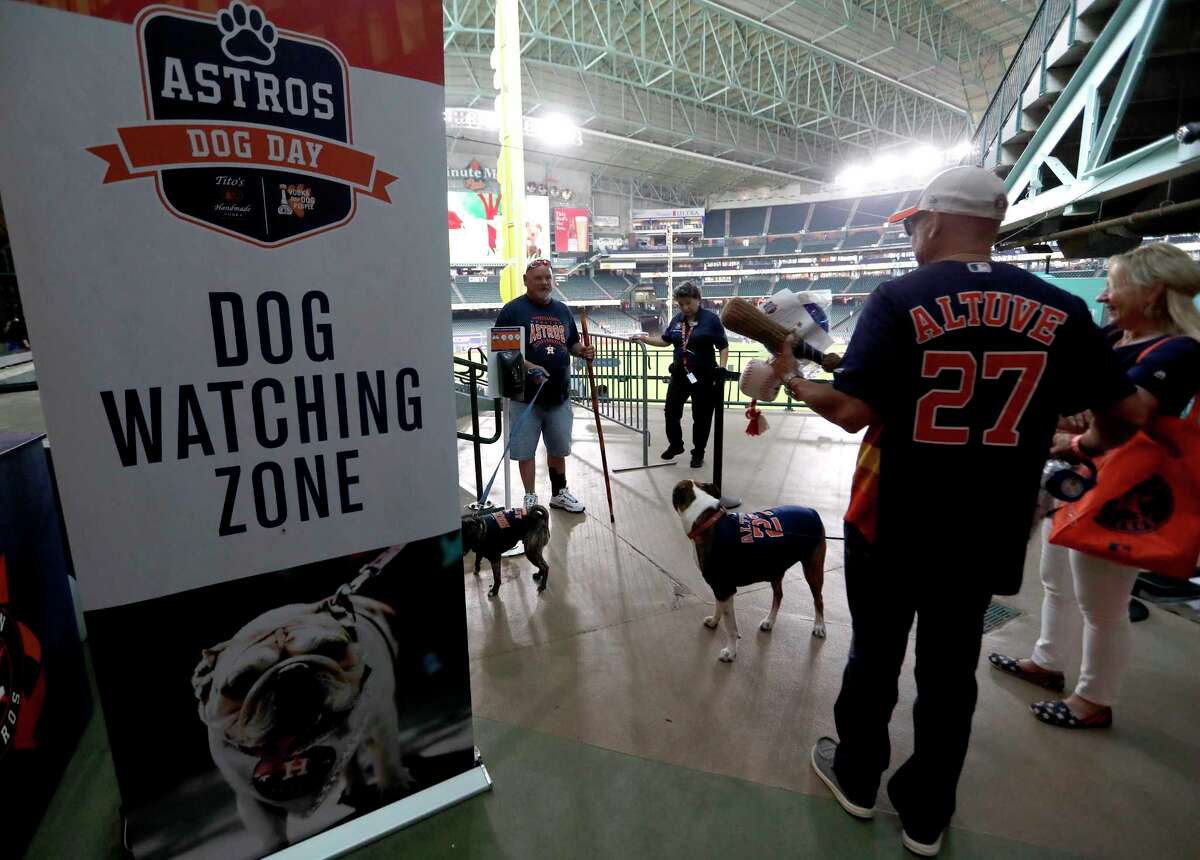 Astros lost, but we have adorable photos of dogs at the game