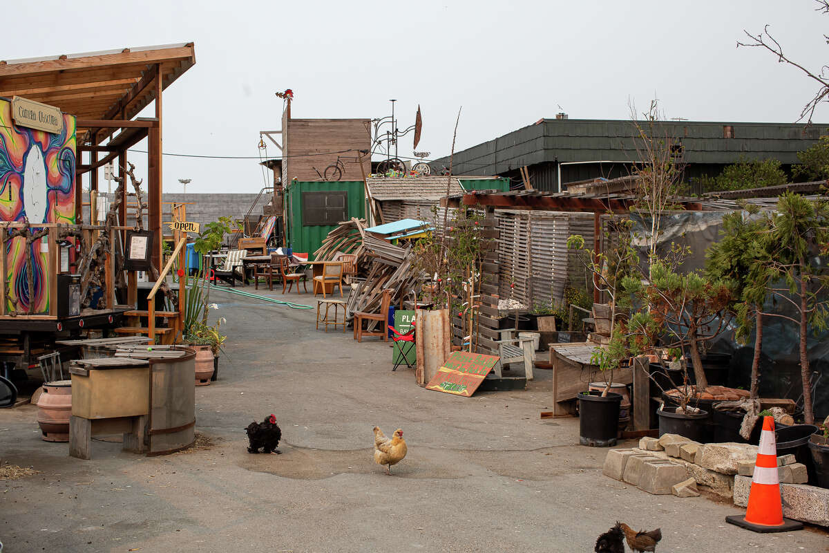 The coolest new music venue in SF is a farm in the Bayview