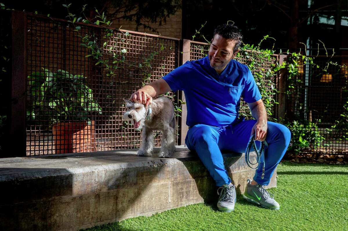 Meet the dogs of the Pearl, who offer tips on the best places to score ...