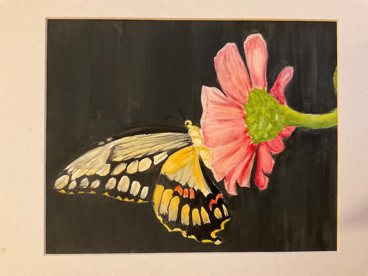 Atria Darien hosting their monthly art exhibit, wine reception