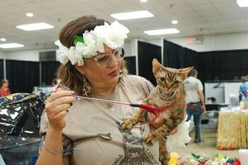 Pasadena | Houston Community Newspapers | HoustonChronicle.com ...