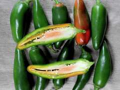 The best chile peppers for adding both flavor and heat to your cooking