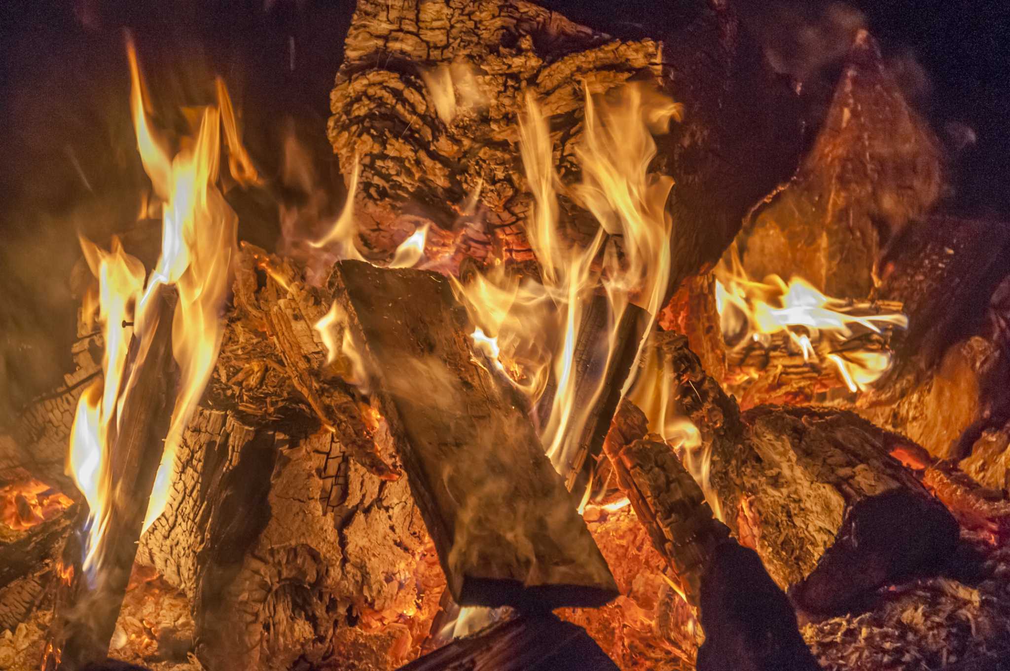 'Spruce' up your campfire to protect spruces and other vegetation