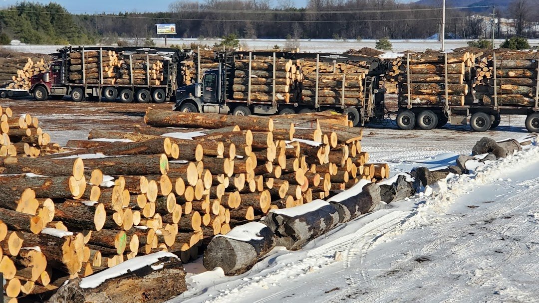 Learn about improved forest management as a natural climate solution