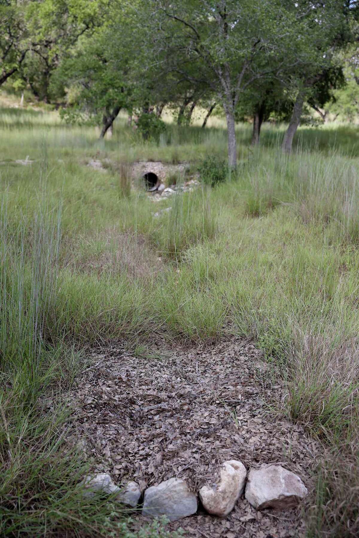 Scientists seek ways to help nature safeguard aquifer amid development