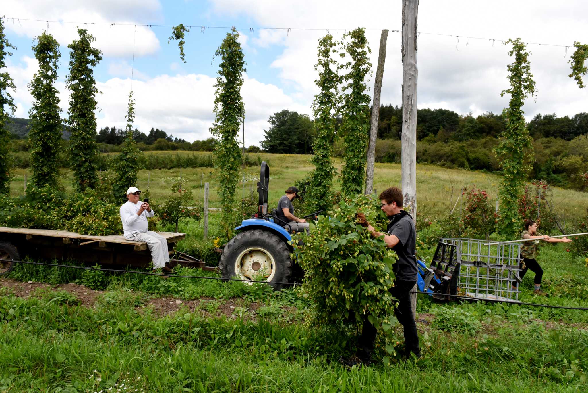 Indian Ladder Farms, other small brewers work together to keep doors open