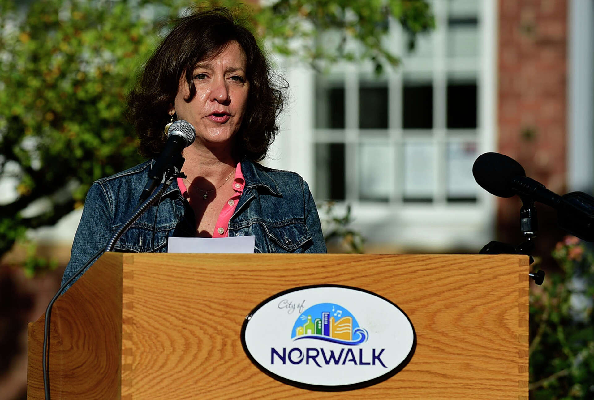 Norwalk Republican Scicchitano, Democrat Smyth plan to run for mayor