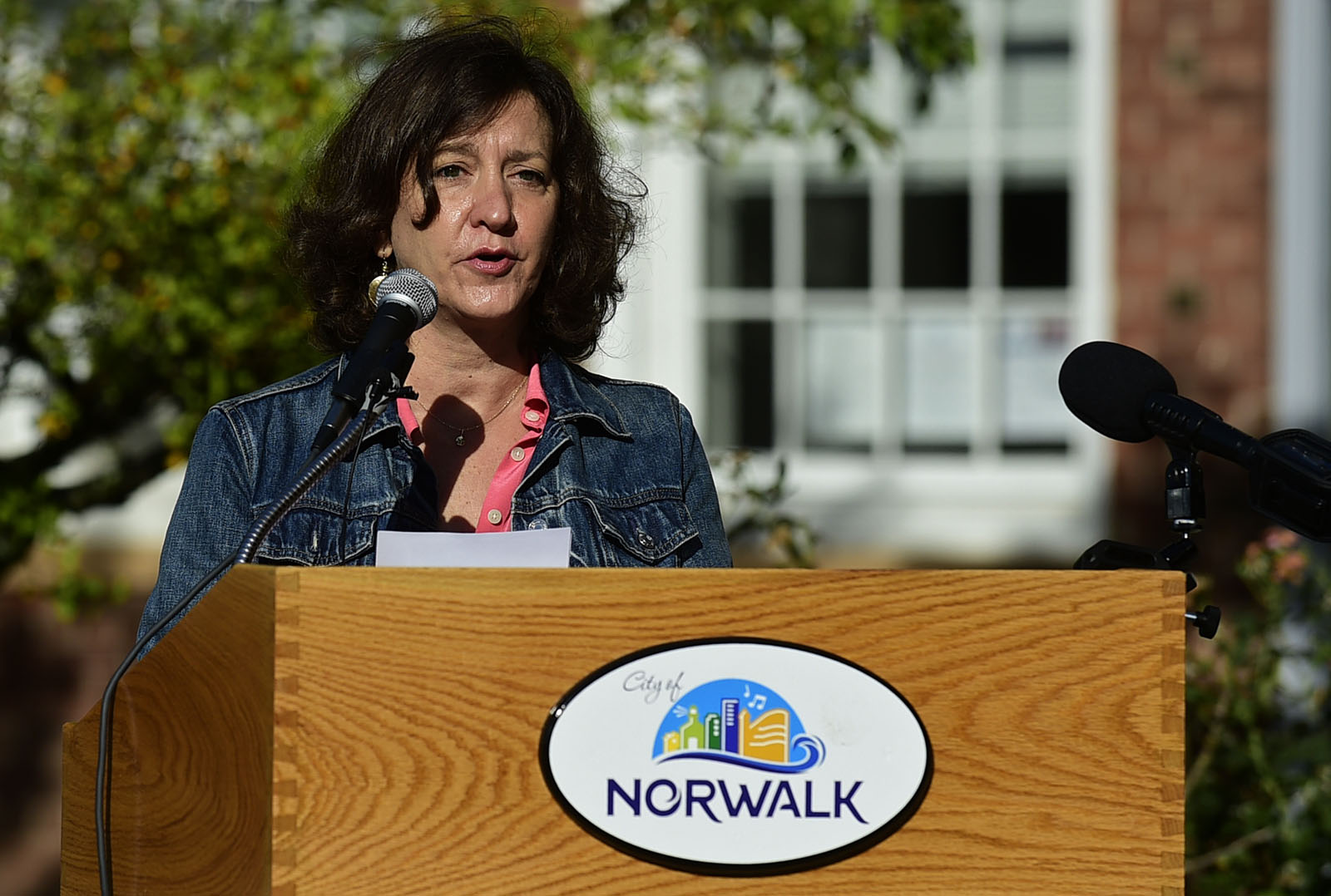Two Norwalk Common Council members seek Democratic nod for mayor