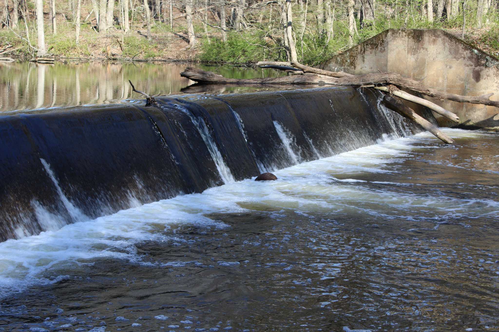 Wilton, Save the Sound agree to remove Merwin Meadows dam