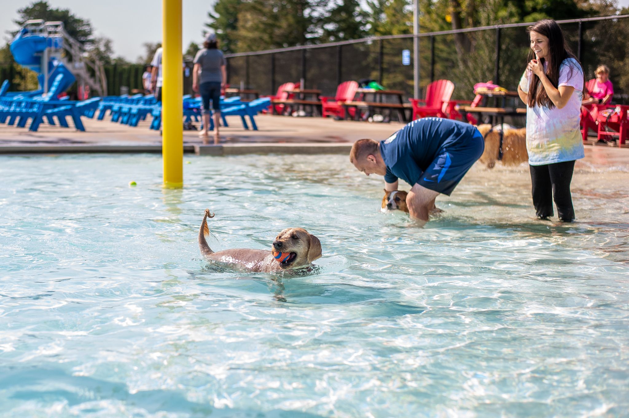 Pooches at the Pool registration is open for the event on Sept. 9