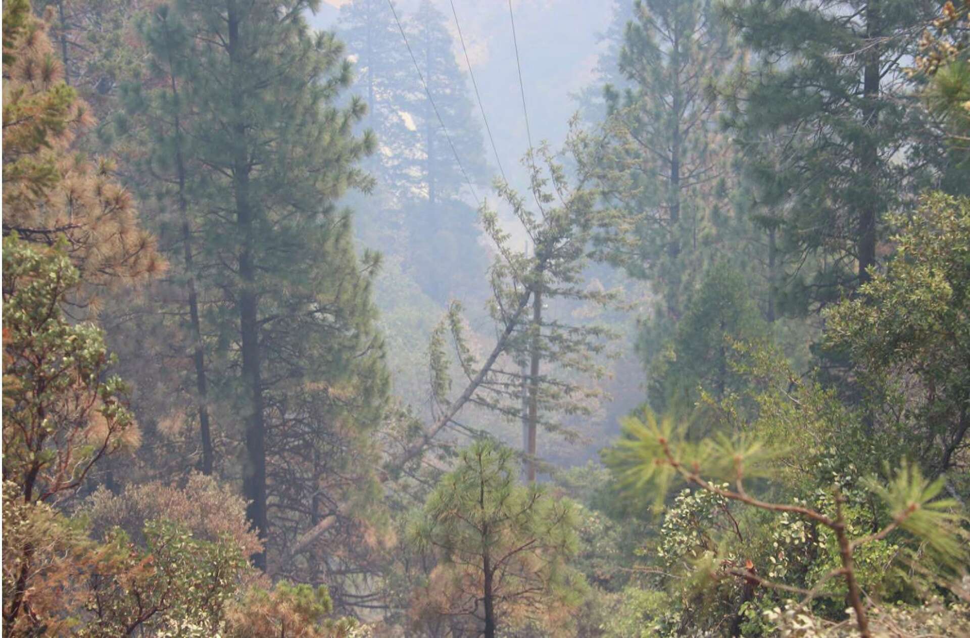 PG&E power lines started enormous Dixie Fire, investigators say