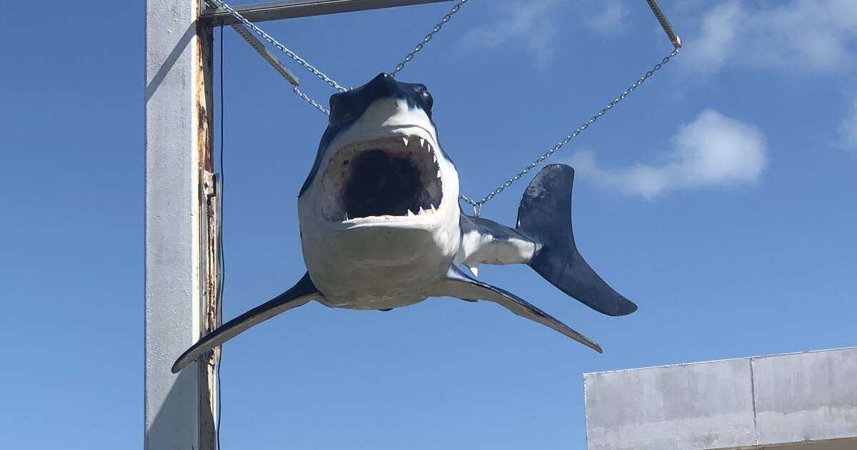 A huge 'shark' flew across a road during Tropical Storm Nicholas. His ...