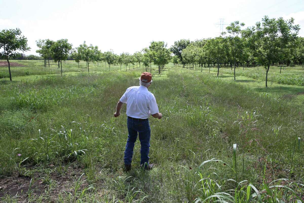 From Garden Ridge to New Braunfels, ‘Quarry Row’ has residents ...