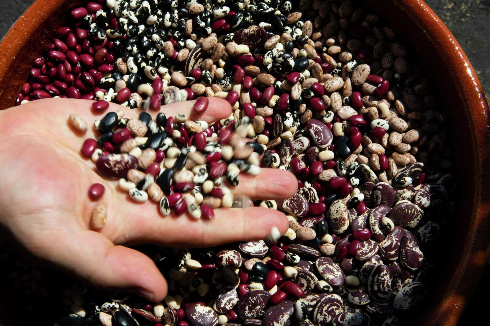 Napa bean king Rancho Gordo turned 20 this year. How its founder cooks ...