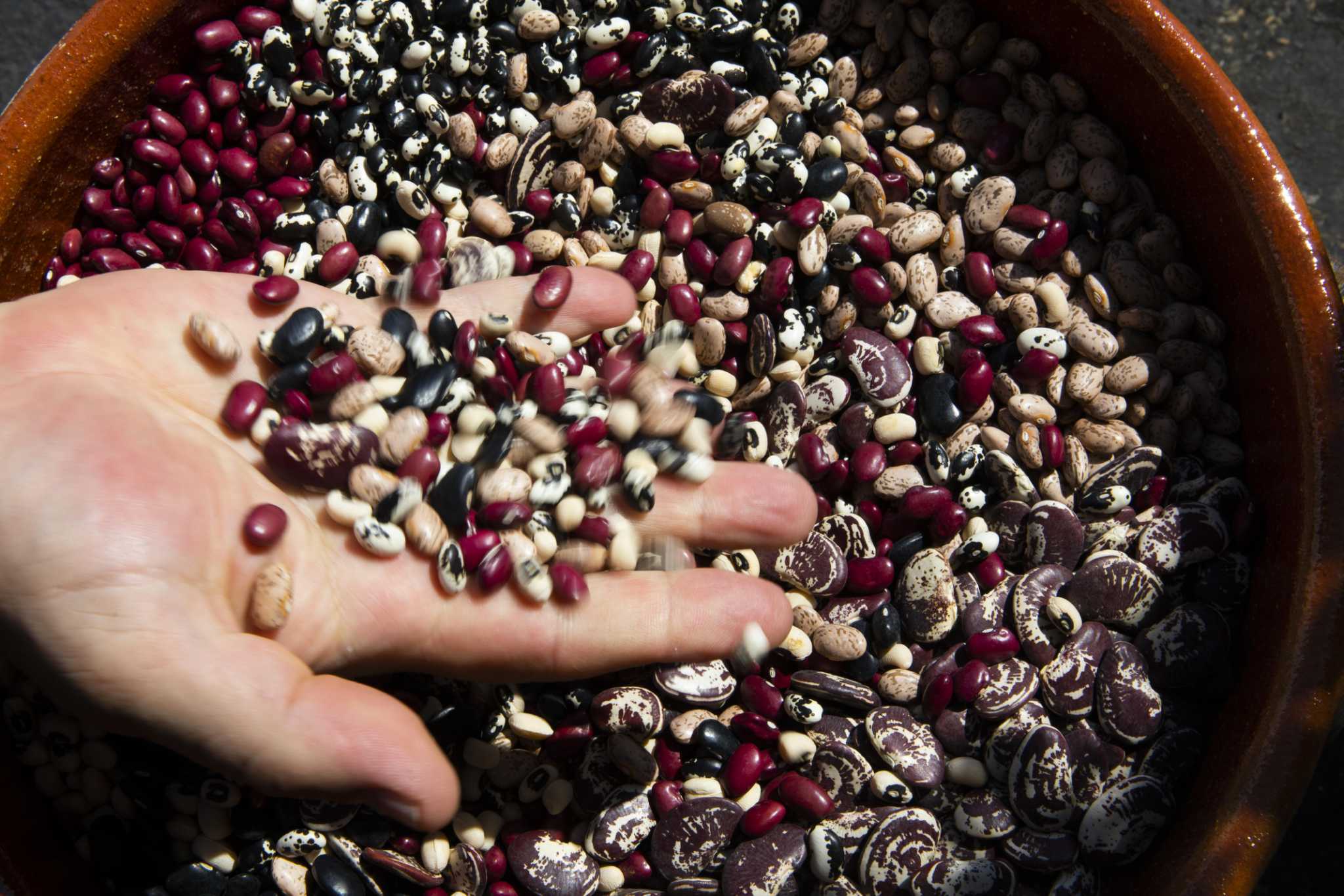 Napa bean king Rancho Gordo turned 20 this year. How its founder cooks ...