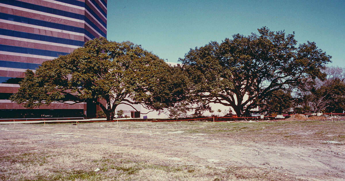 Becks Prime milestone event benefits Trees for Houston