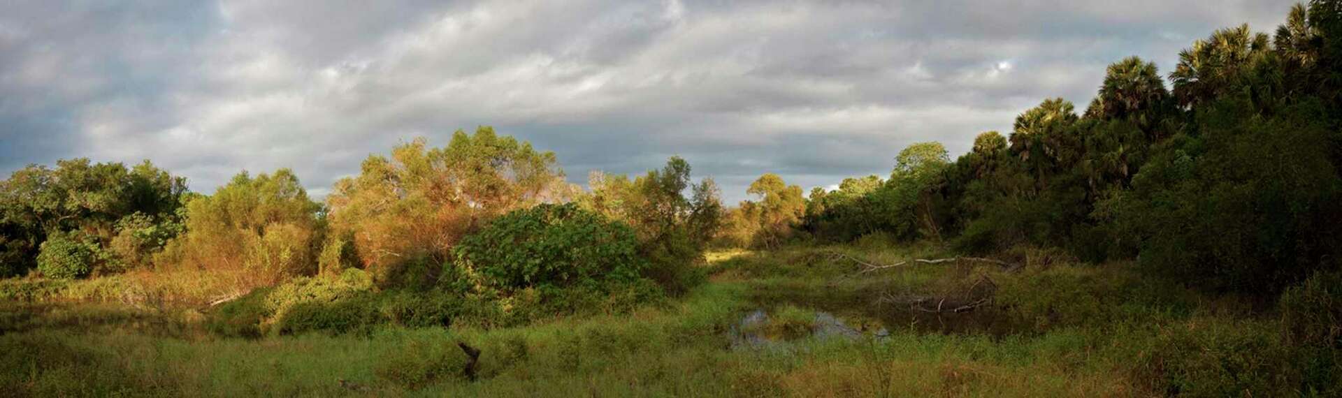 Lessons learned at Sabal Palm Sanctuary of South Texas