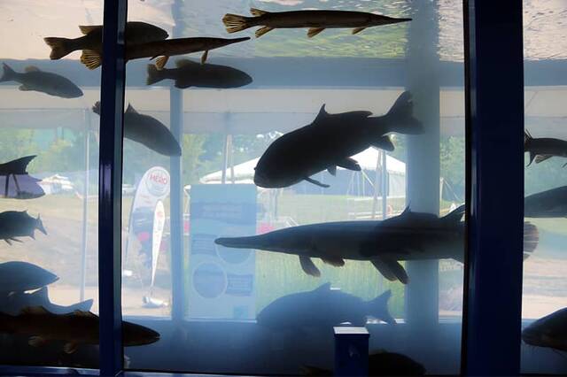 Annual family fishing event returns to Illinois state park June 10