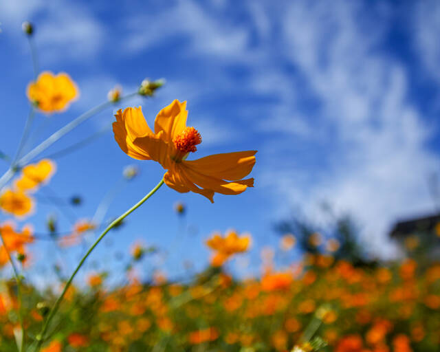 Commentary: Robin writes by Robin Garrison Leach — September sings the ...