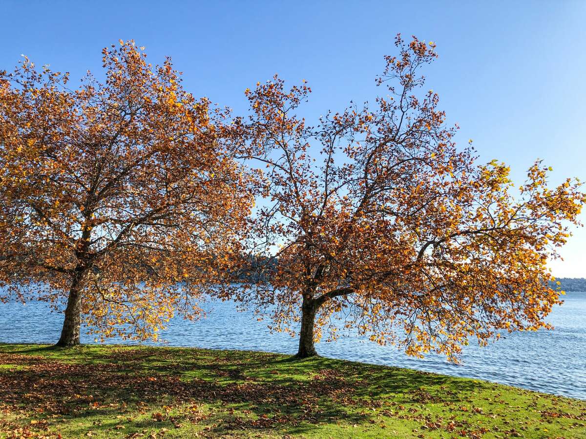 First day of autumn: 7 of Seattle's best parks and trails to see fall ...