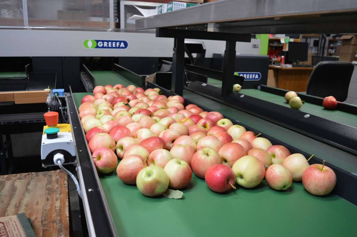 These Connecticut orchards press their own apple cider
