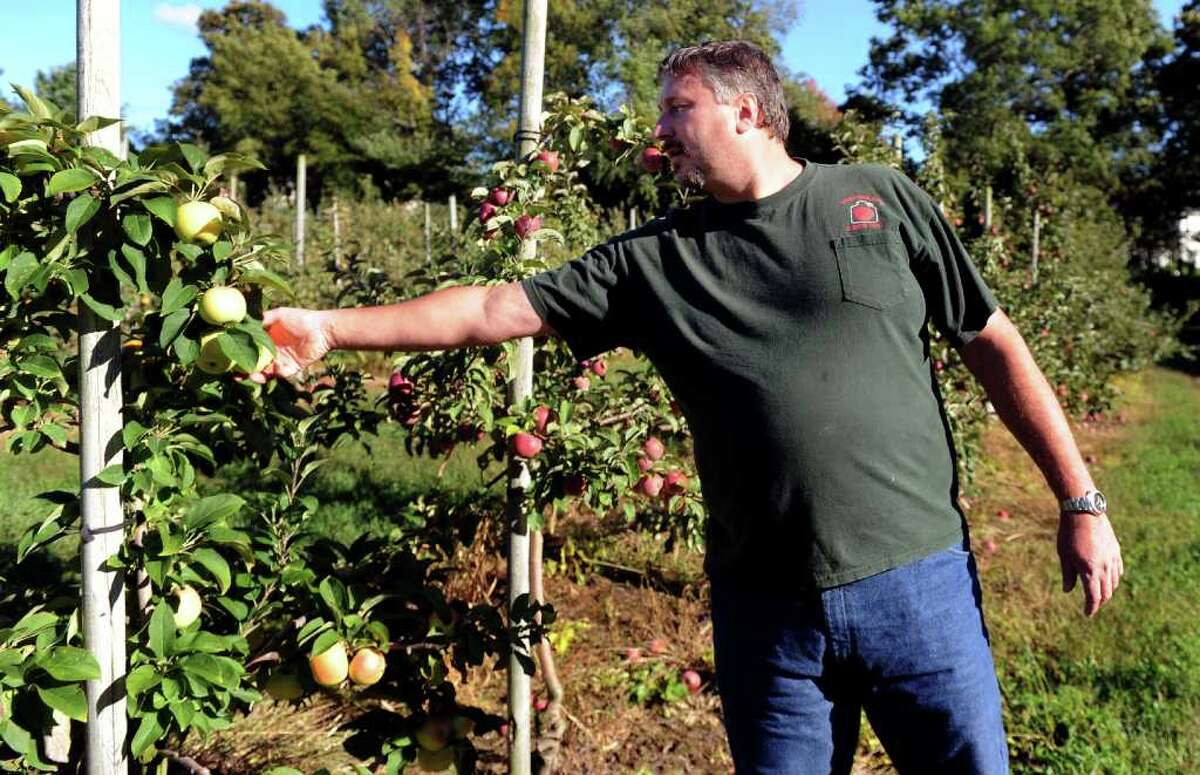 Cider time at Beardsley farm