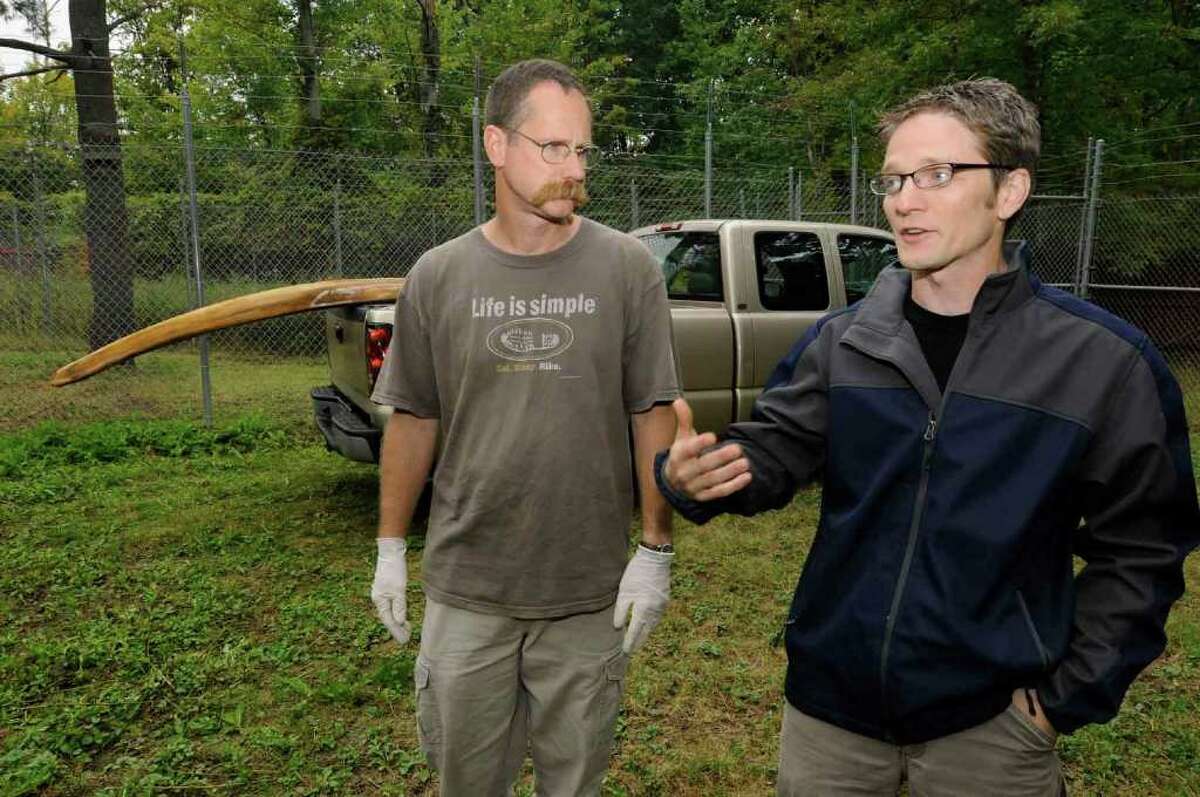 State Museum sees rotting whales as displays in the raw
