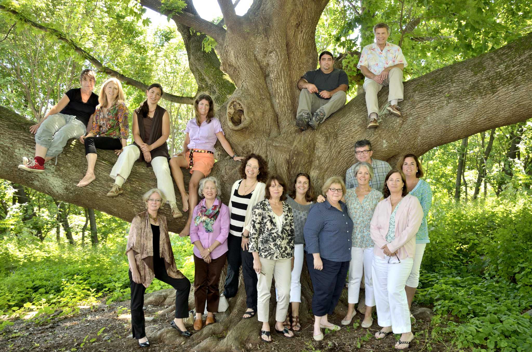 Norway maple tree in Ridgefield is one of the nation's largest