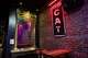The stories behind SF's iconic Cat Club
