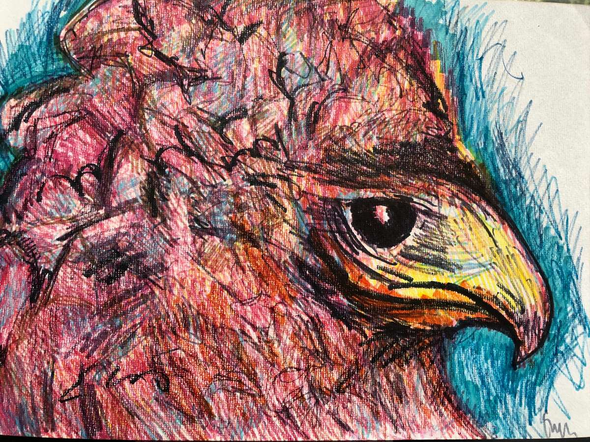 George Frayne, aka Commander Cody, dies at 77