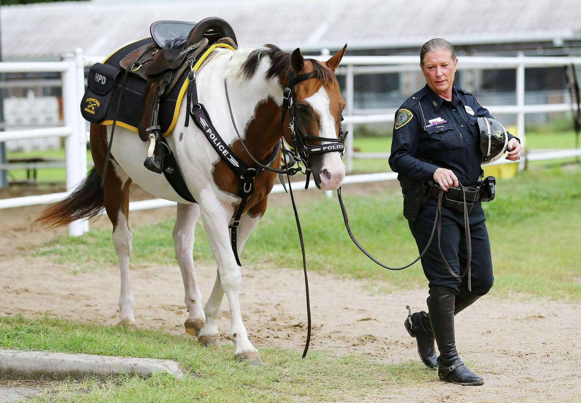 New Acres Homes horse, named Matilda, joins Houston police’s mounted patrol