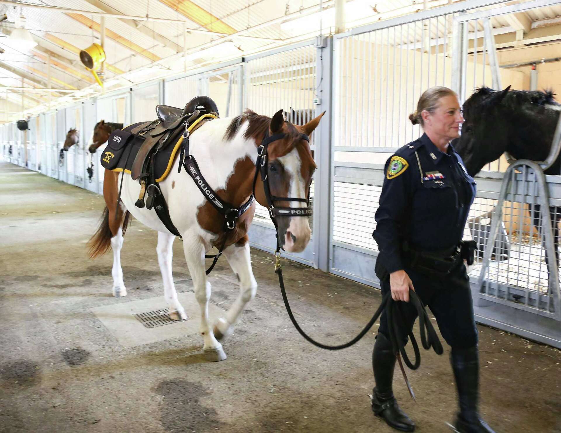 New Acres Homes horse, named Matilda, joins Houston police’s mounted patrol