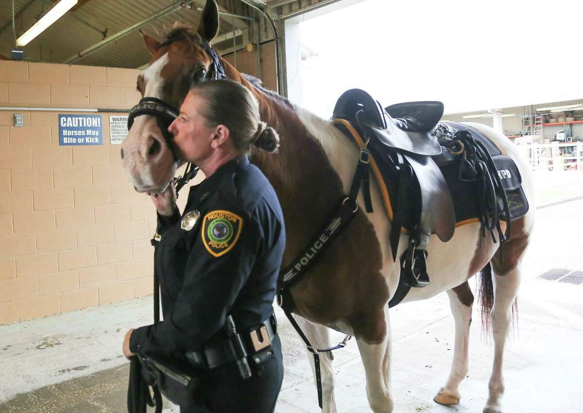 New Acres Homes horse, named Matilda, joins Houston police’s mounted patrol