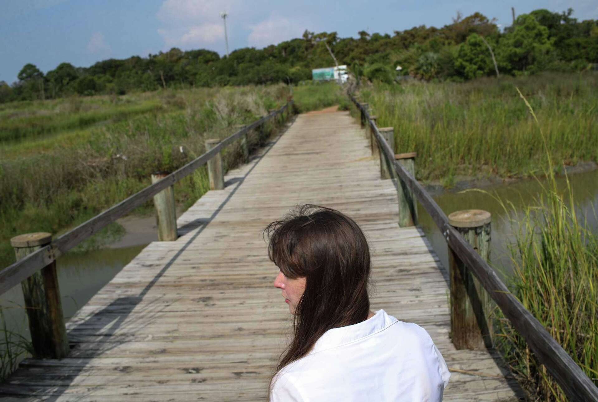 Crushed turtles and shrinking wetlands: How the proposed Ike Dike could ...