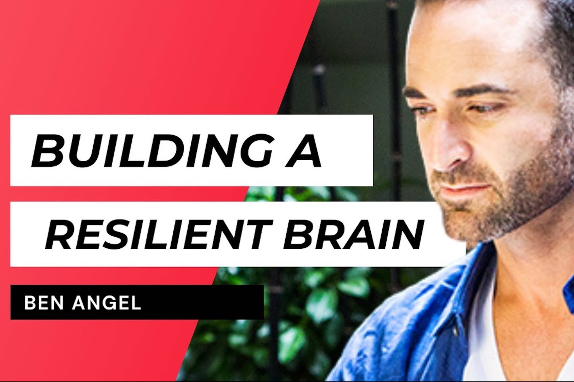 How to Build a Brain That's Resilient to Stress