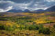 Where to find the prettiest fall foliage in Northern California and Bay ...