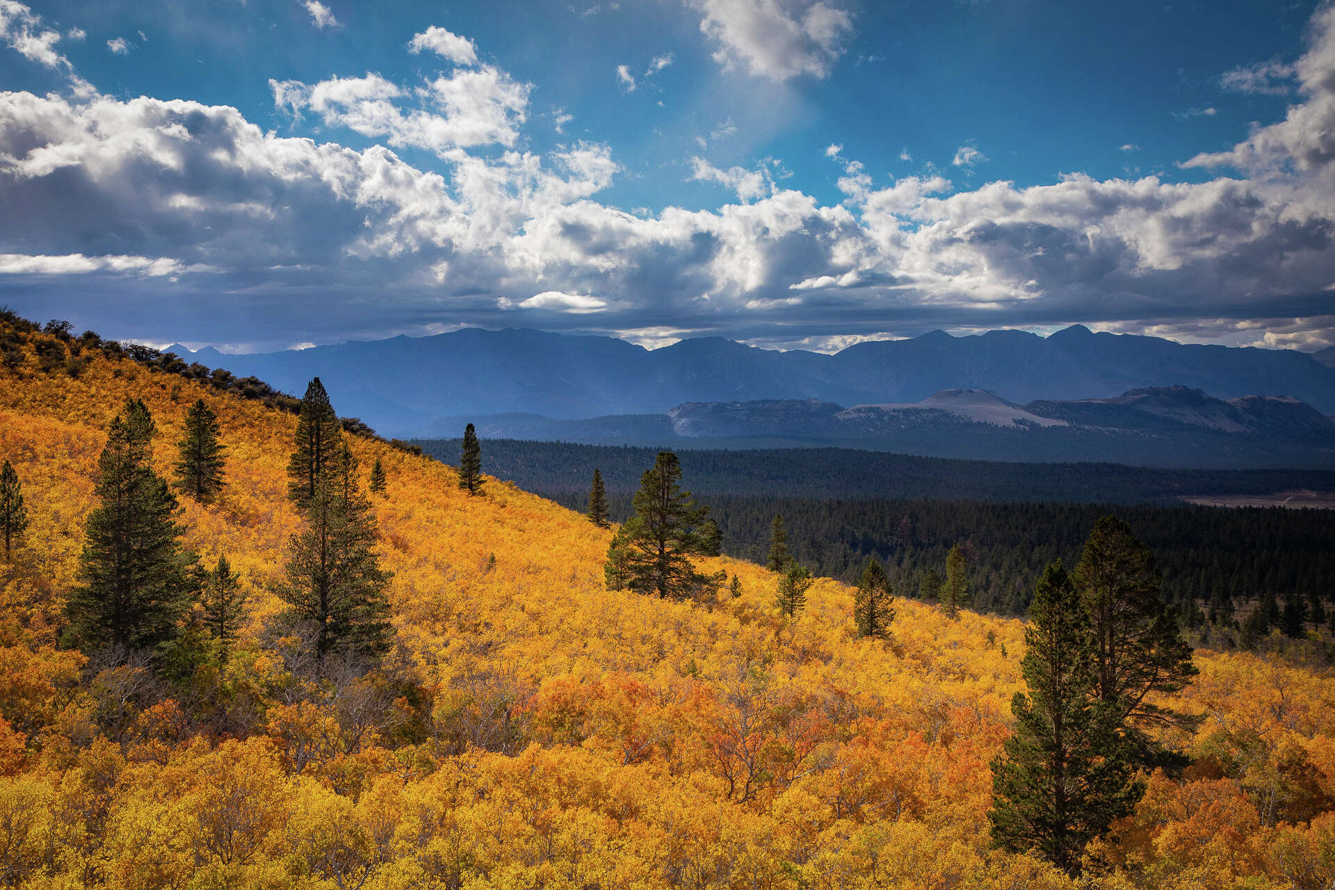 Where to find the prettiest fall foliage in Northern California and Bay ...