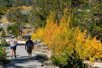Where to find the prettiest fall foliage in Northern California and Bay ...