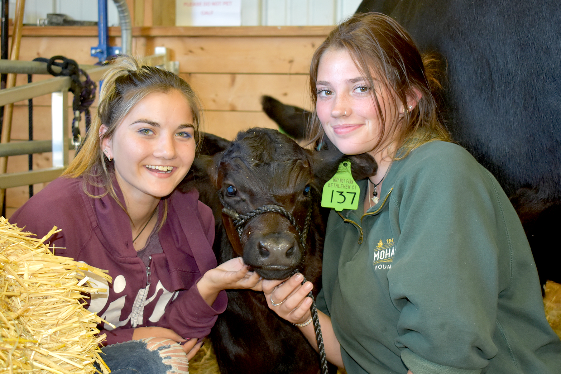 13 Connecticut country fairs to check out this summer and fall