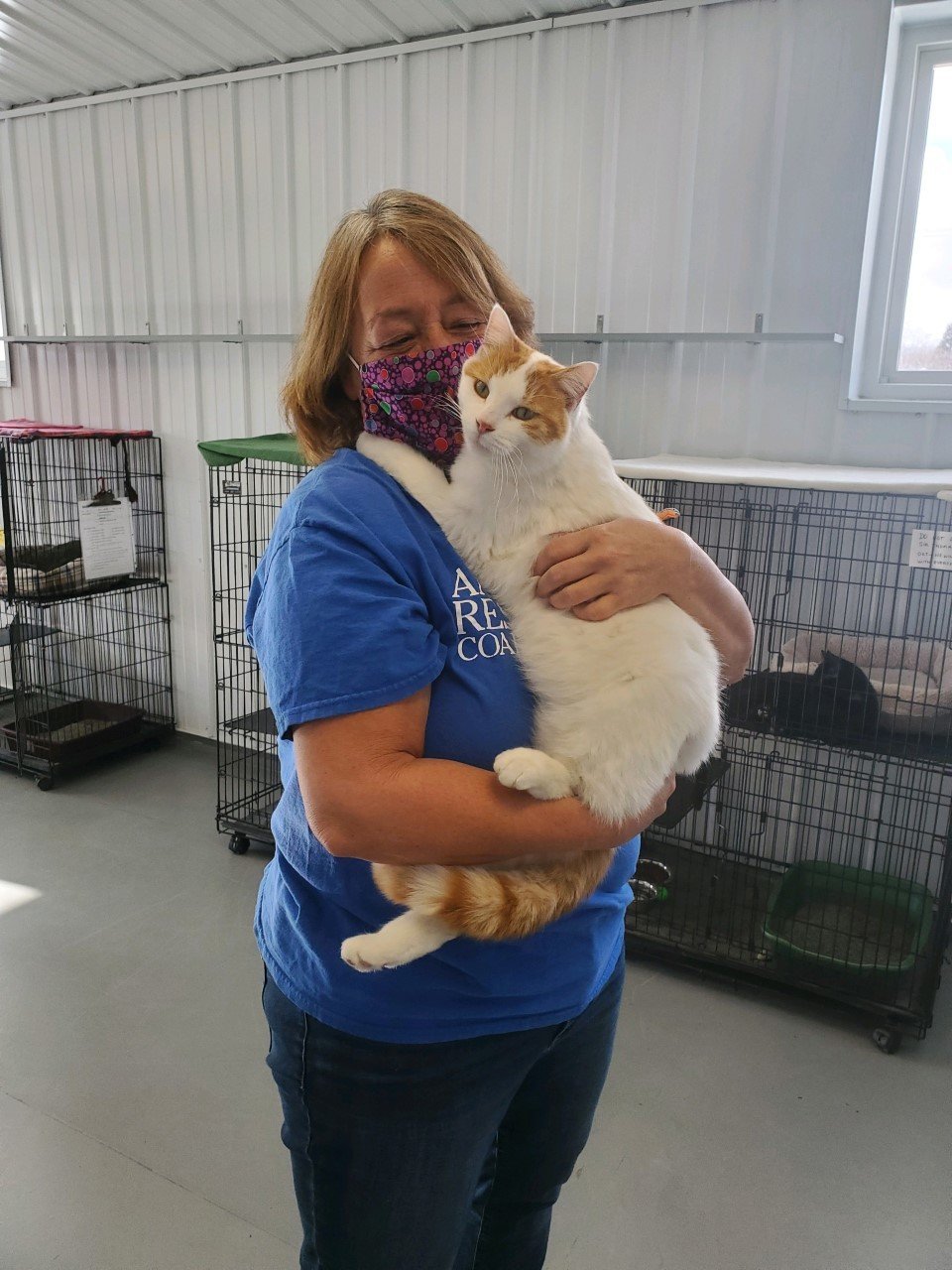 Mecosta County Animal Shelter