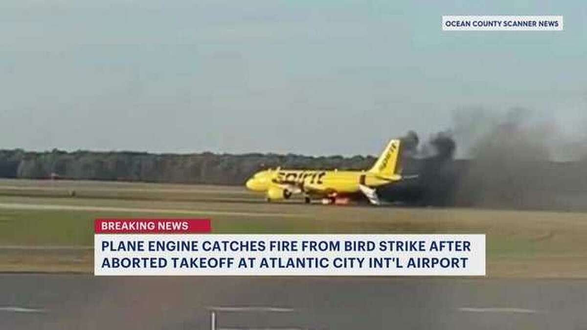 Bird flies into plane engine, causes fire at New Jersey airport