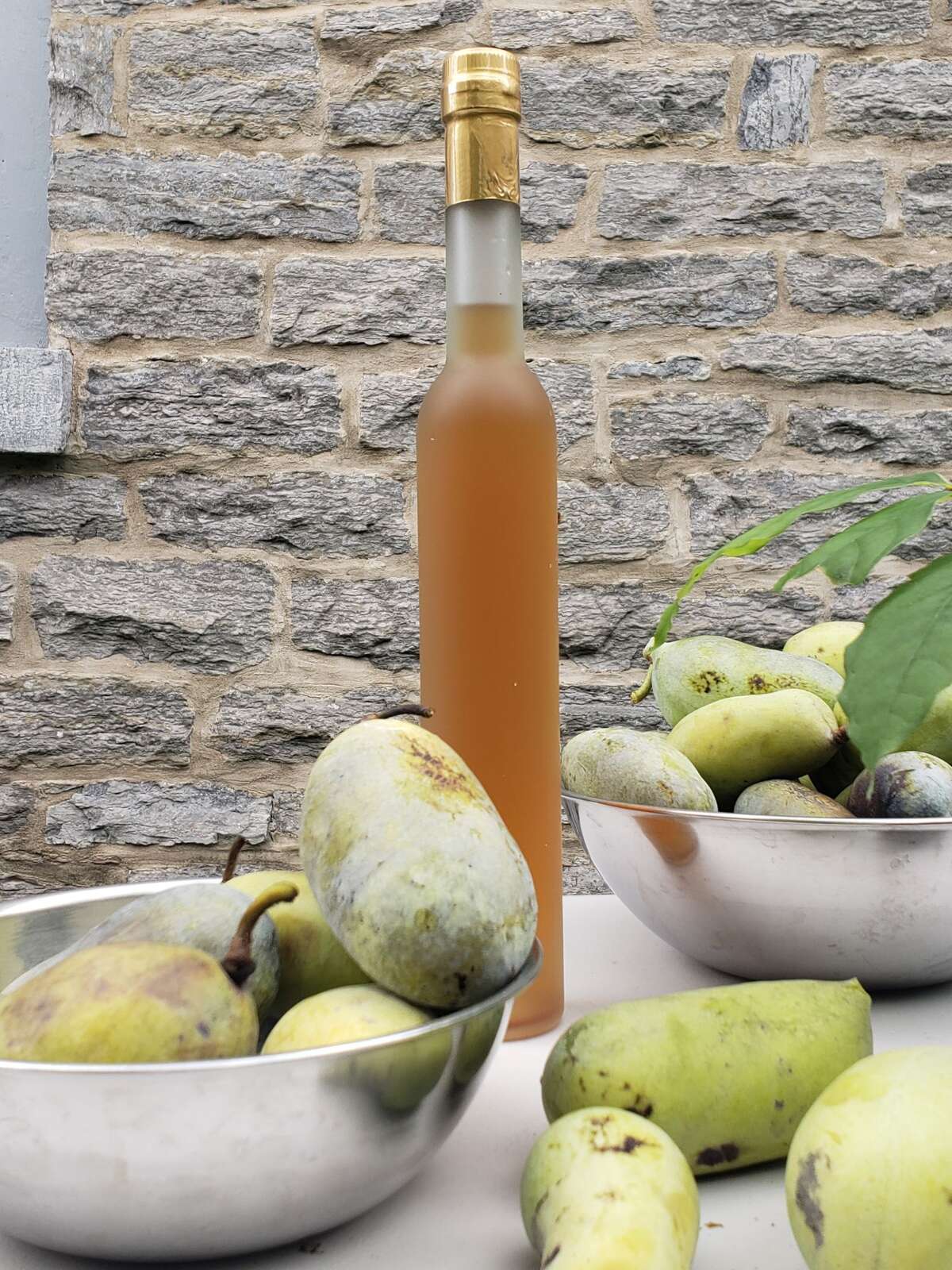 The six-year journey to growing pawpaws in Canajoharie