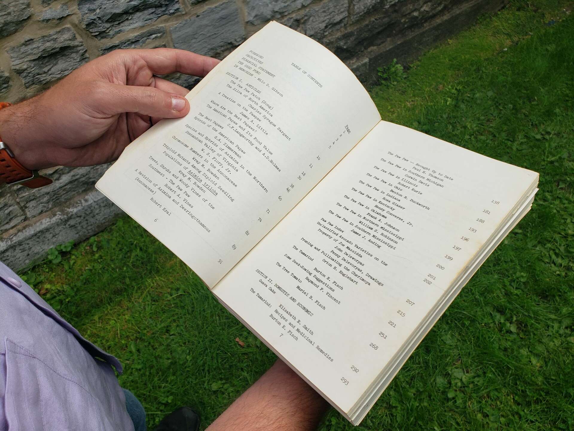 The six-year journey to growing pawpaws in Canajoharie