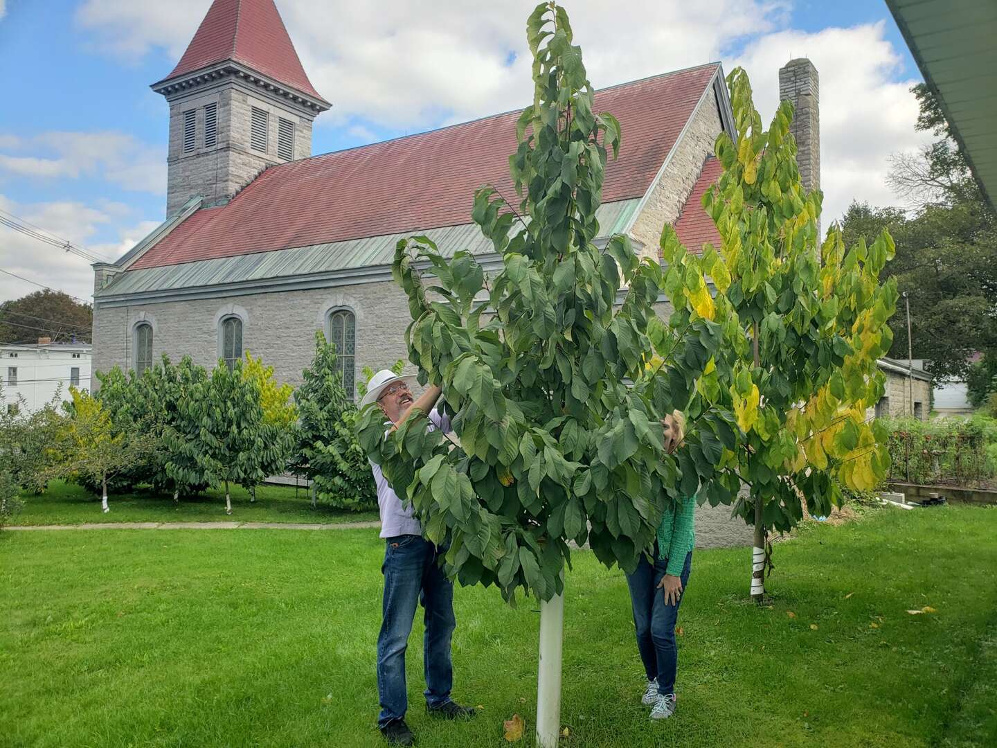 The six-year journey to growing pawpaws in Canajoharie