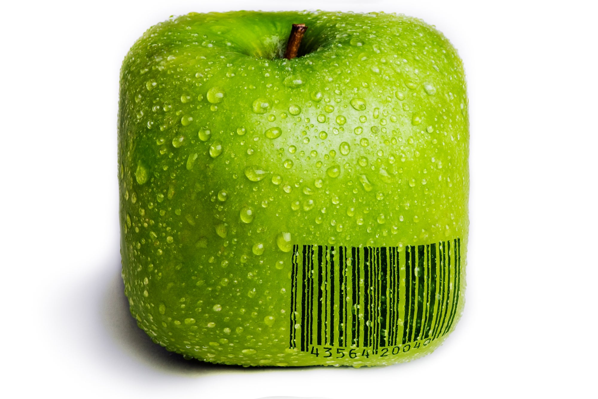 FoodTech: Everything you need to know about the industry that ...