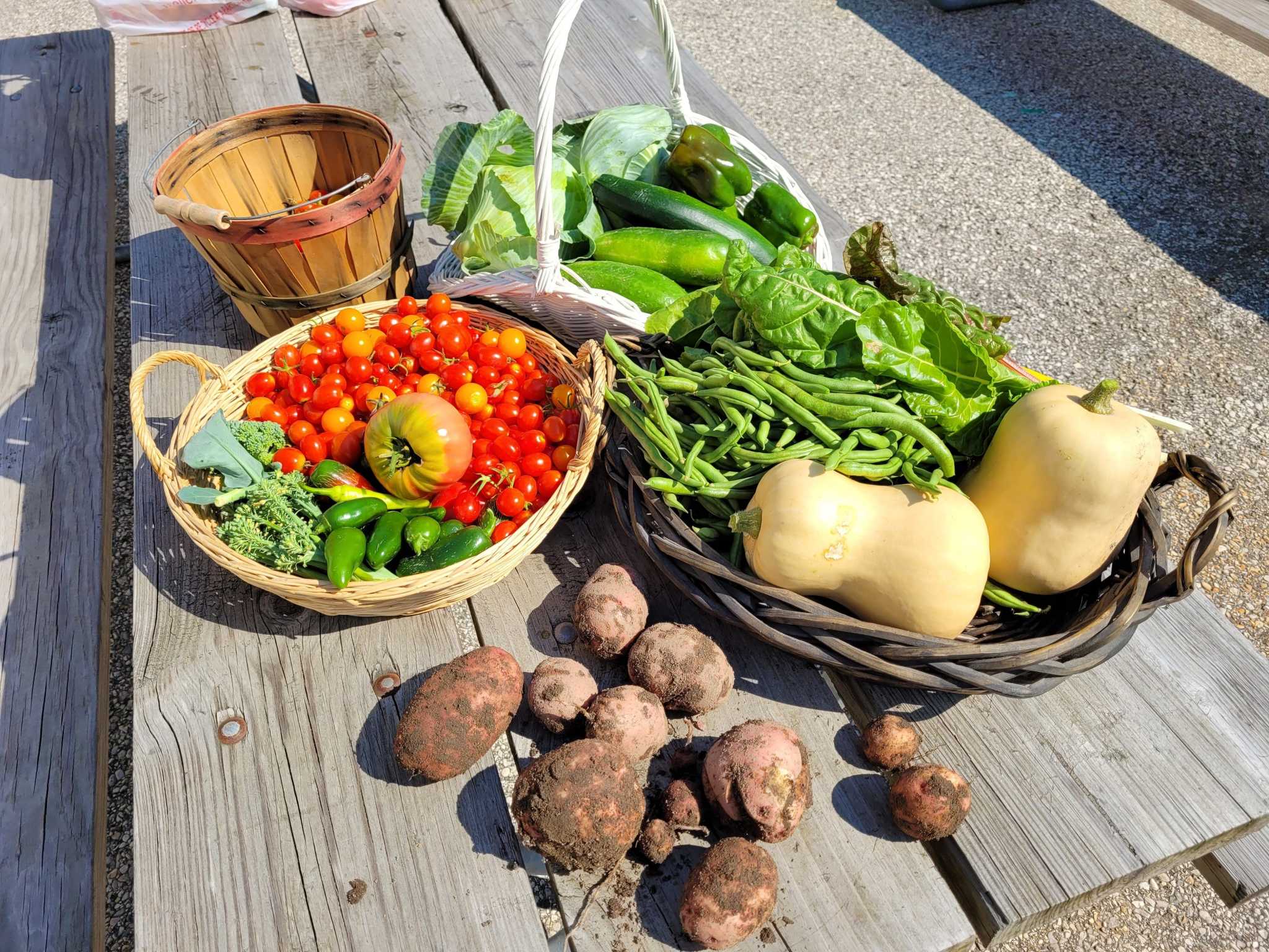 Garden club, Armory gardens harvested for cooking class, food banks