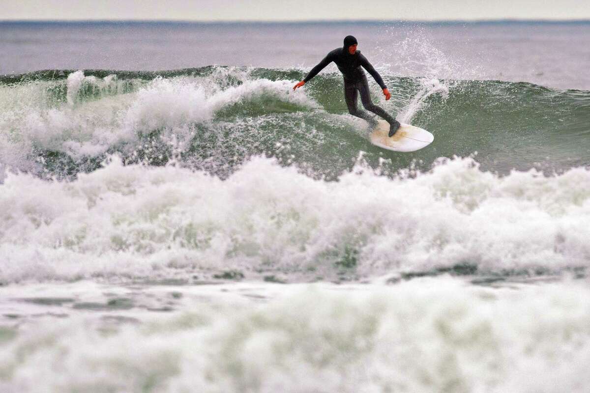 Great White Shark Bite Surfboard