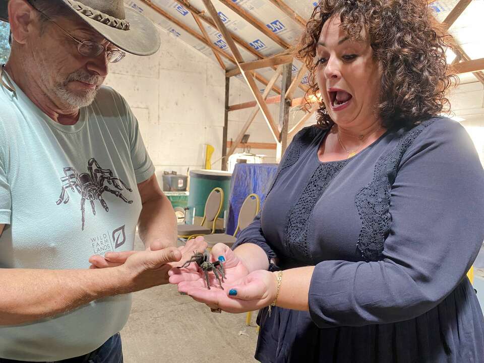 I risked my life on a tarantula hike so you don’t have to
